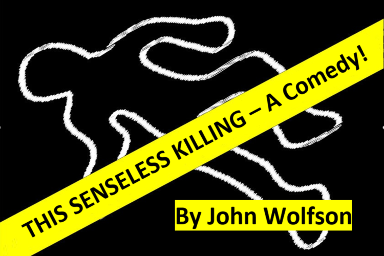 senseless image REVISED - Break a Leg Productions